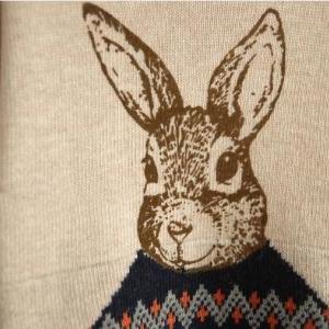 Cute Peter Rabbit Thick Autumn/winter Sweater Significantly Thin Wild ...